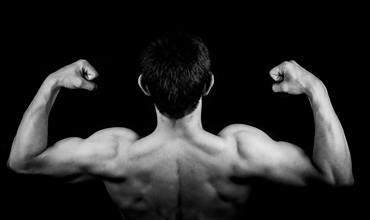 Body Areas | CyVigor
