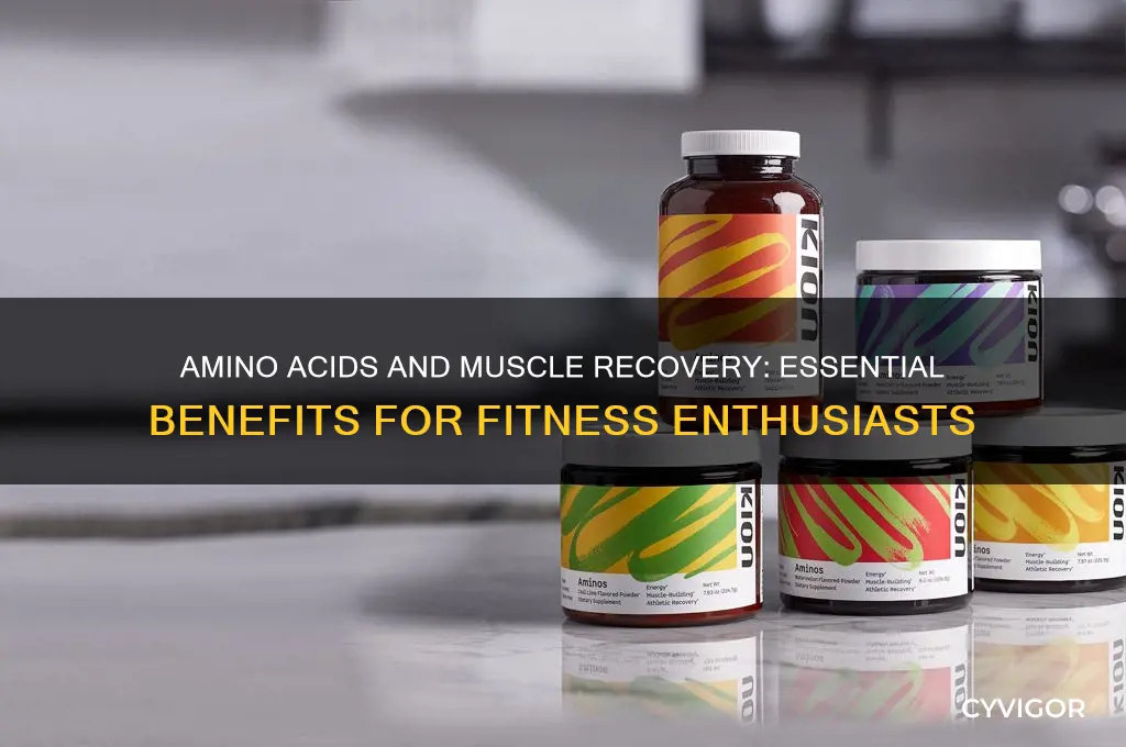 Amino Acids And Muscle Recovery: Essential Benefits For Fitness ...