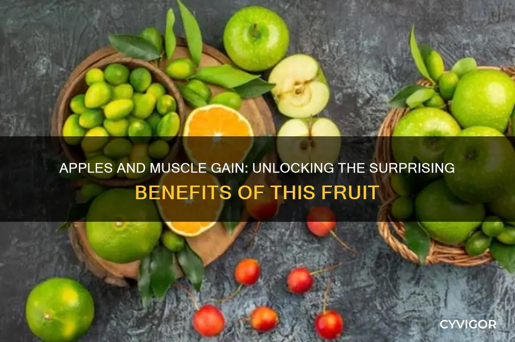 Apples And Muscle Gain: Unlocking The Surprising Benefits Of This Fruit ...