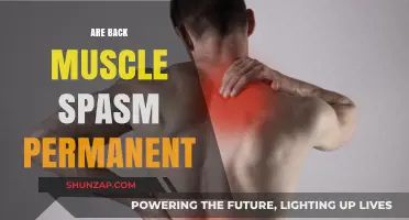 Understanding Back Muscle Spasms: Causes, Symptoms, And Effective ...
