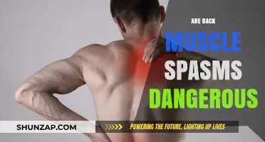 Understanding Back Muscle Spasms: Causes, Symptoms, And Effective ...