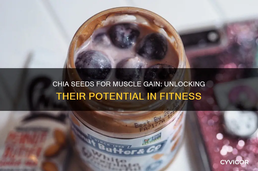 Chia Seeds For Muscle Gain: Unlocking Their Potential In Fitness | CyVigor