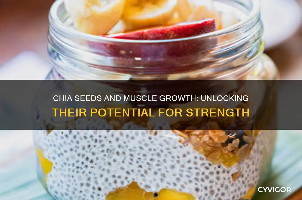 Chia Seeds And Muscle Growth: Unlocking Their Potential For Strength ...