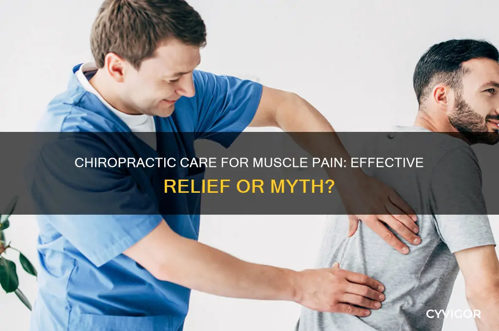 Chiropractic Care For Muscle Pain: Effective Relief Or Myth? | CyVigor