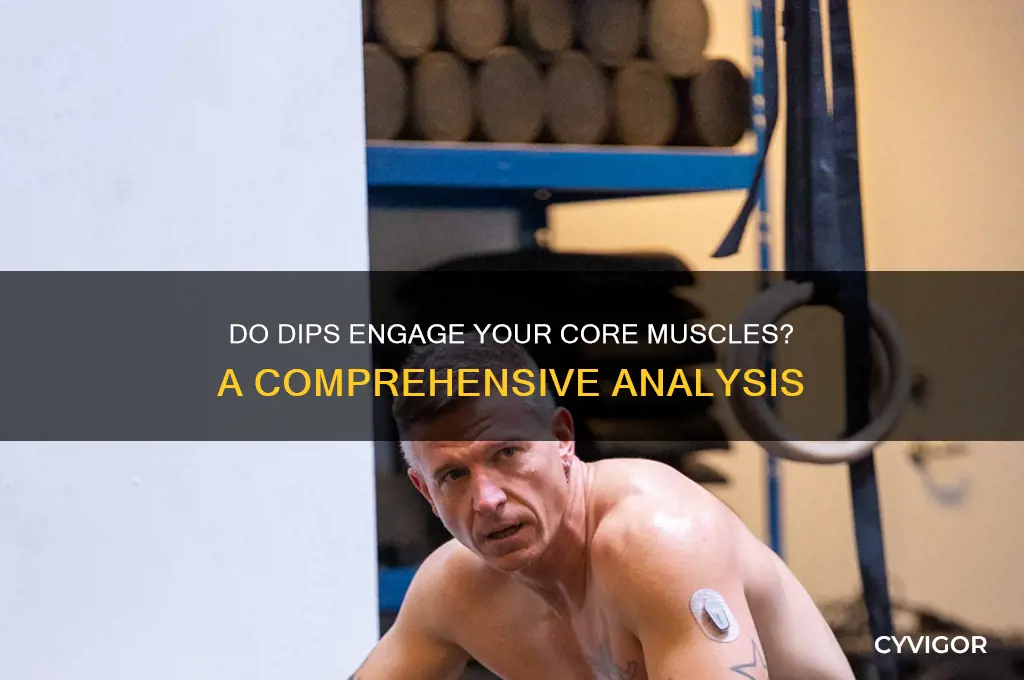 Do Dips Engage Your Core Muscles? A Comprehensive Analysis | CyVigor