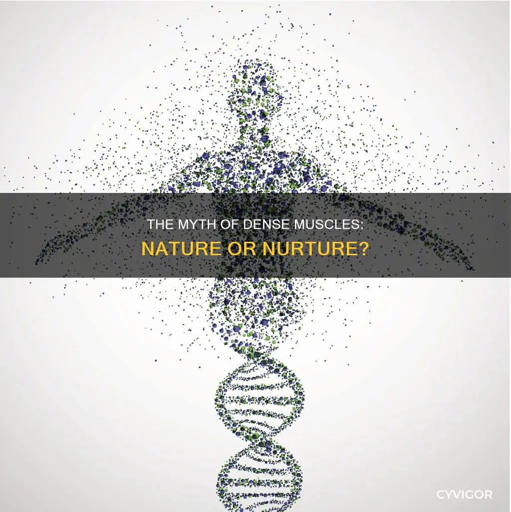 The Myth Of Dense Muscles: Nature Or Nurture? | CyVigor