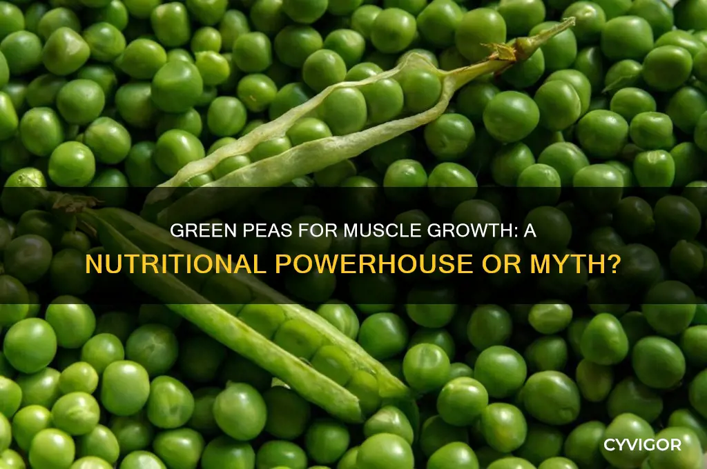 Green Peas For Muscle Growth: A Nutritional Powerhouse Or Myth? | CyVigor