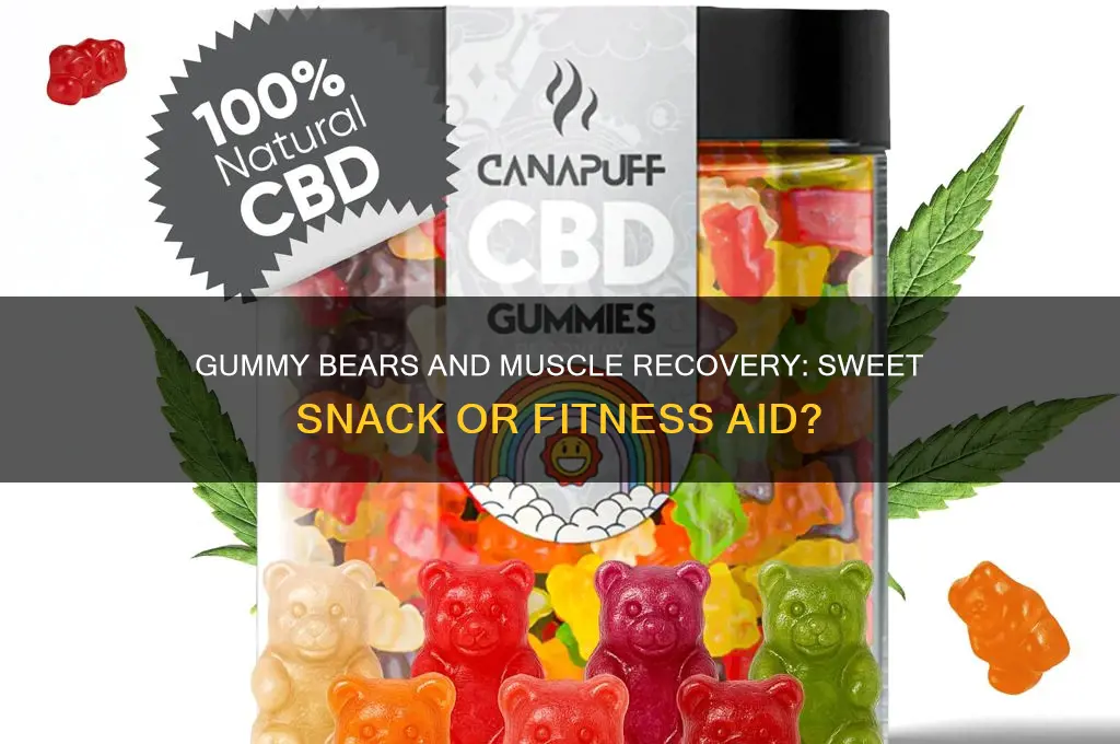Gummy Bears And Muscle Recovery: Sweet Snack Or Fitness Aid? | CyVigor