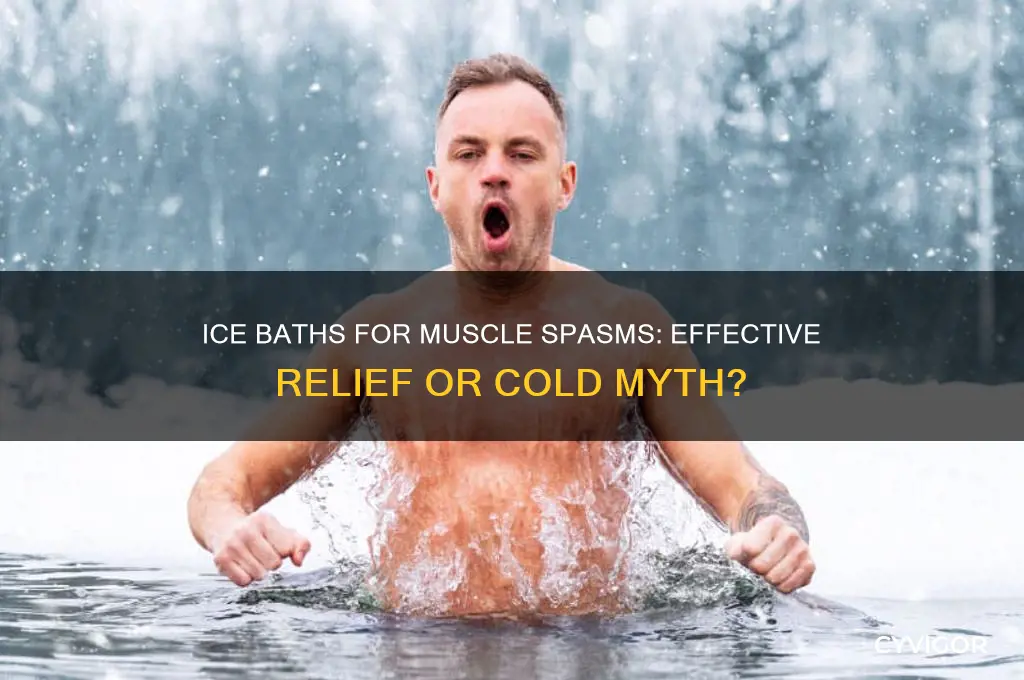 Ice Baths For Muscle Spasms: Effective Relief Or Cold Myth? | CyVigor