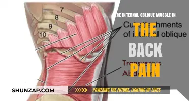 Effective Remedies For Relieving Painful Muscle Spasms And Cramps | CyVigor