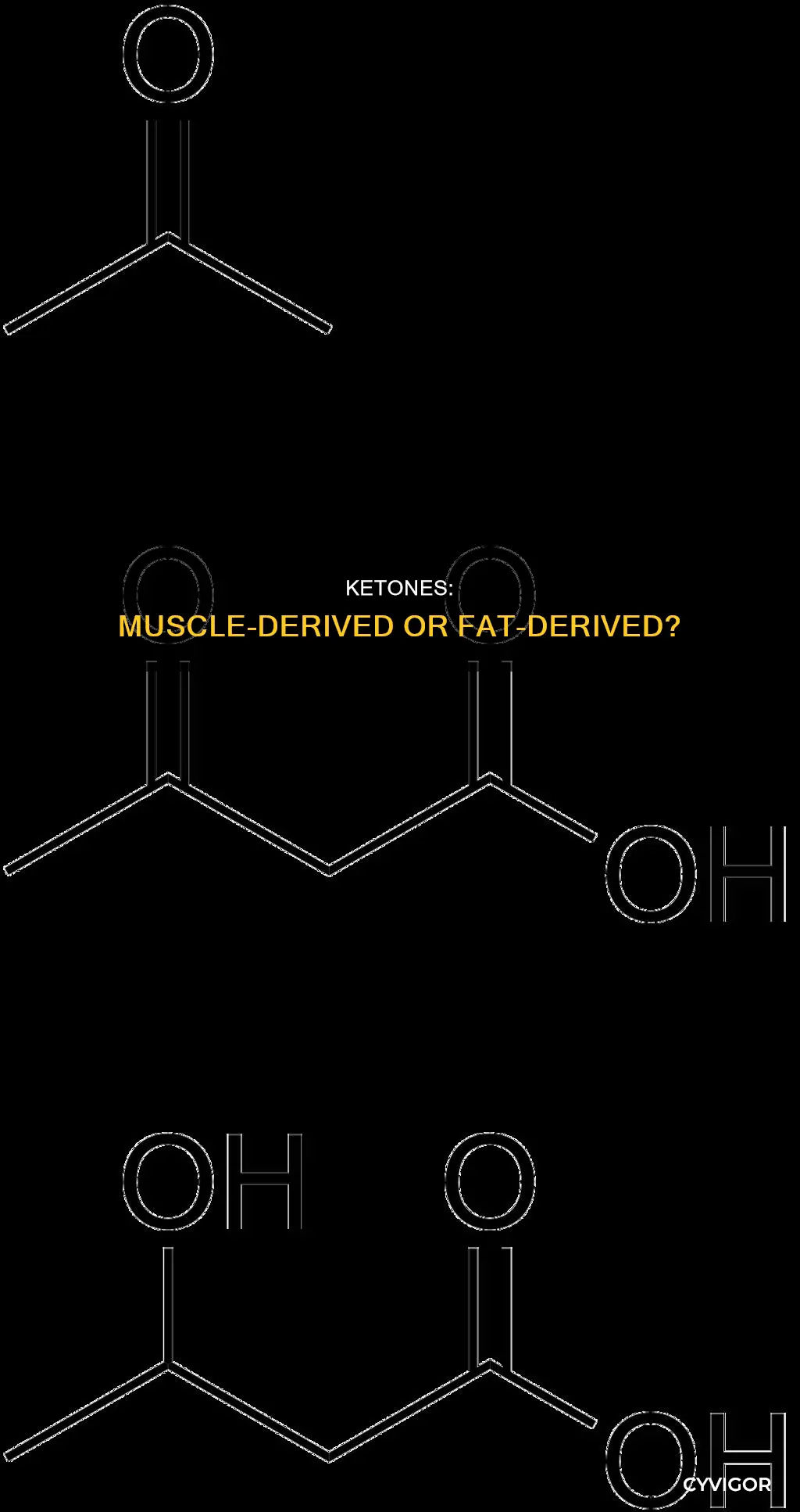 Ketones: Muscle-Derived Or Fat-Derived? | CyVigor