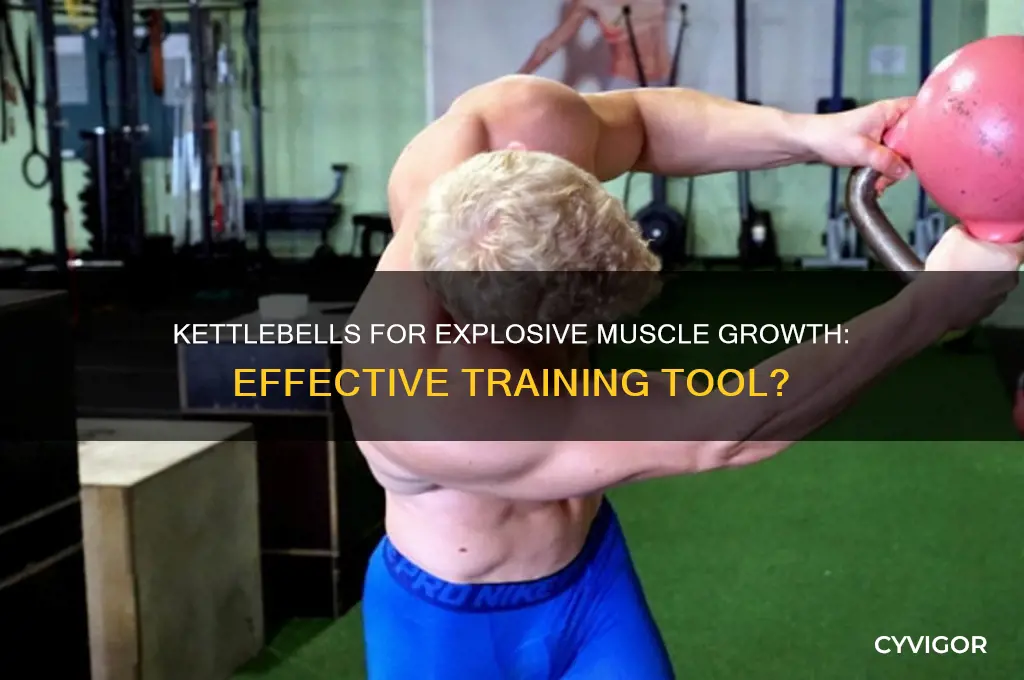 Kettlebells For Explosive Muscle Growth: Effective Training Tool? | CyVigor