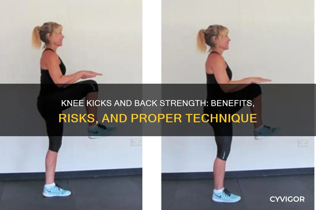 Knee Kicks And Back Strength: Benefits, Risks, And Proper Technique ...