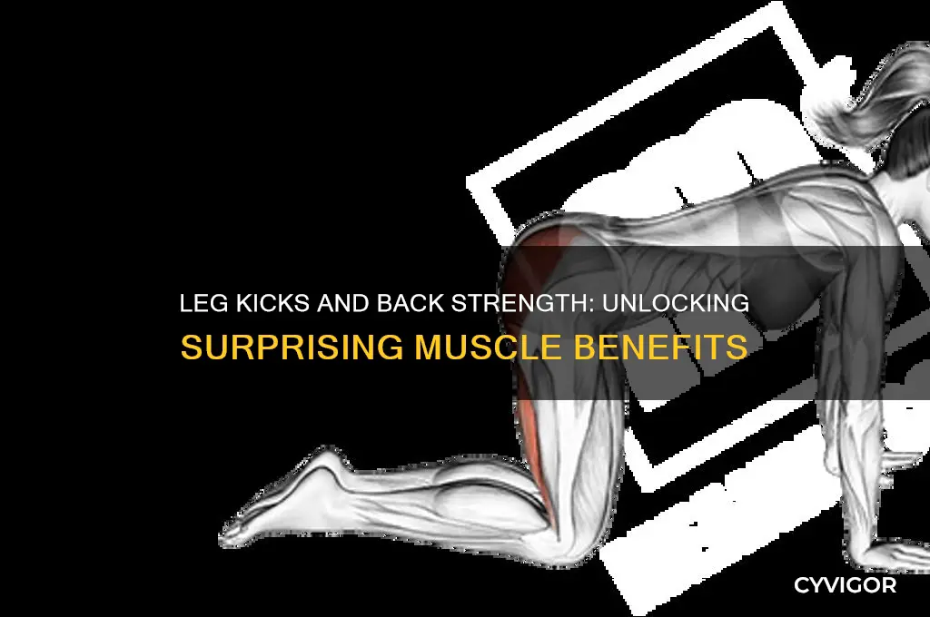 Leg Kicks And Back Strength: Unlocking Surprising Muscle Benefits | CyVigor