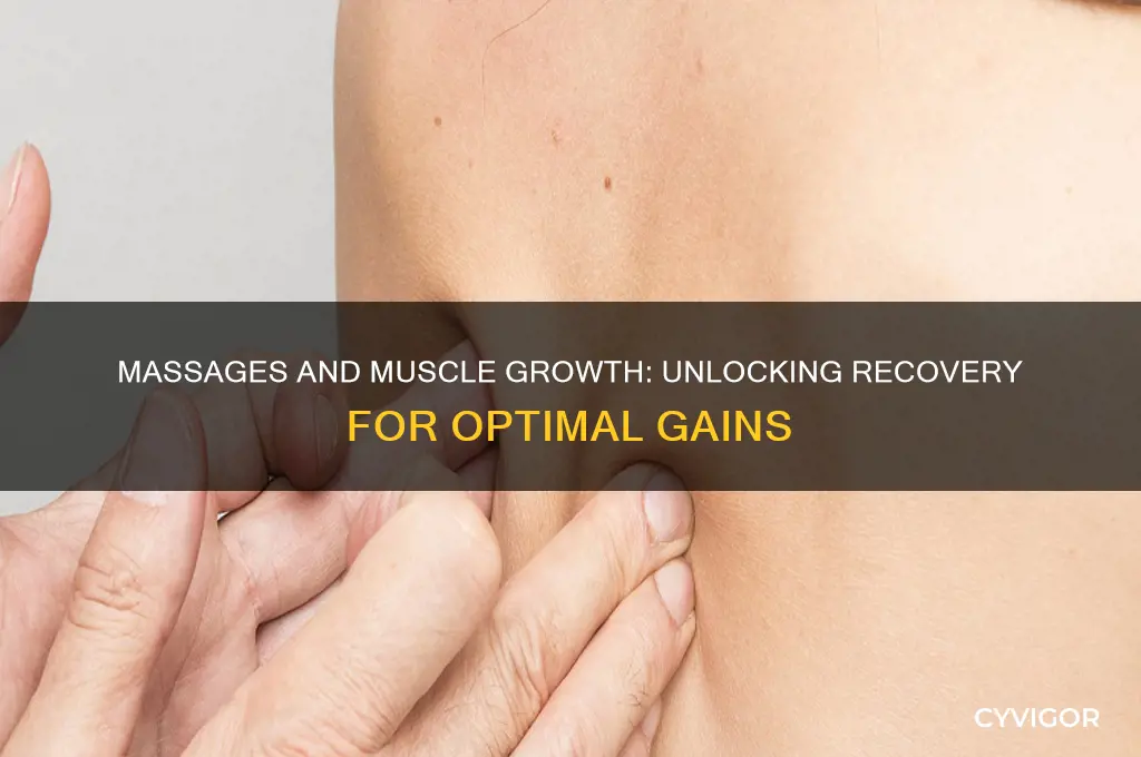 Massages And Muscle Growth: Unlocking Recovery For Optimal Gains | CyVigor
