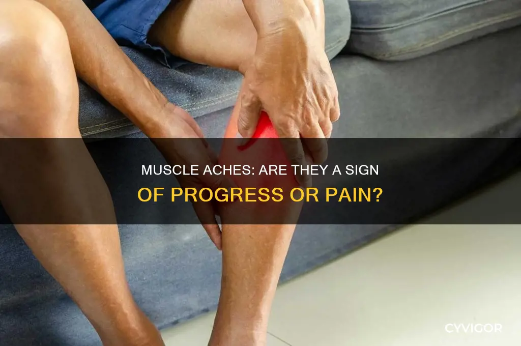 Muscle Aches: Are They A Sign Of Progress Or Pain? | CyVigor