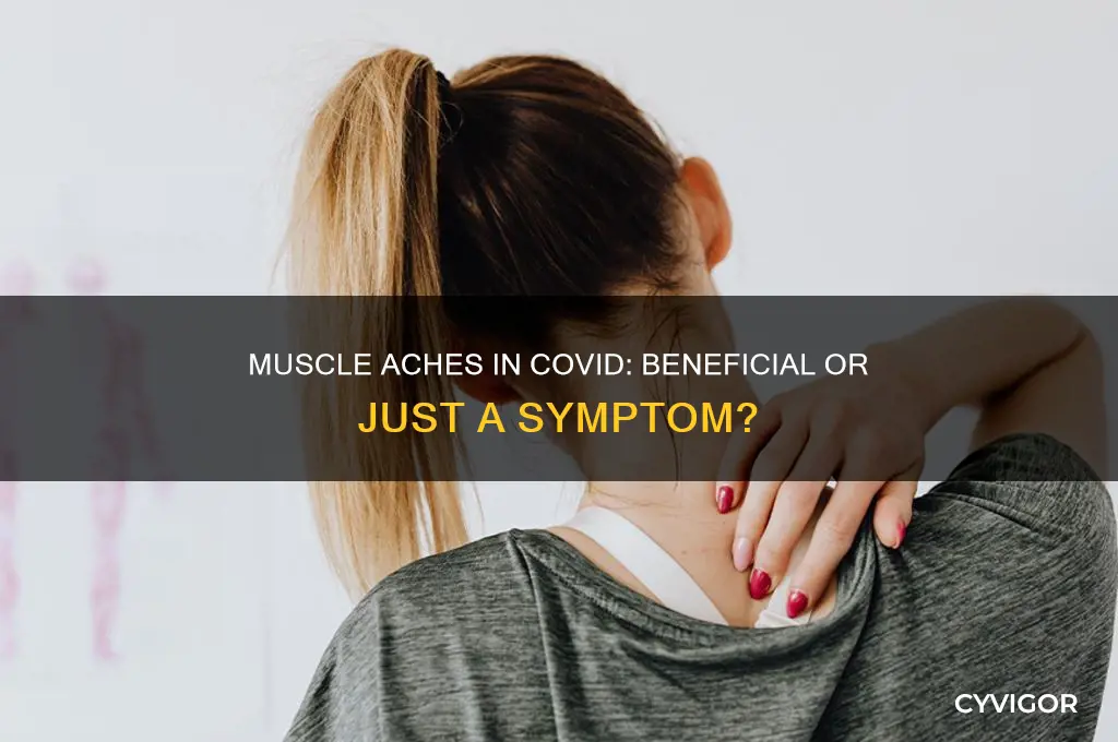 Muscle Aches In Covid: Beneficial Or Just A Symptom? | CyVigor