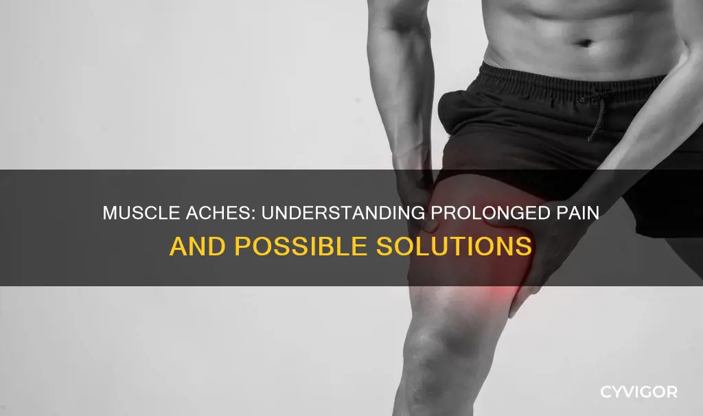 Muscle Aches: Understanding Prolonged Pain And Possible Solutions | CyVigor