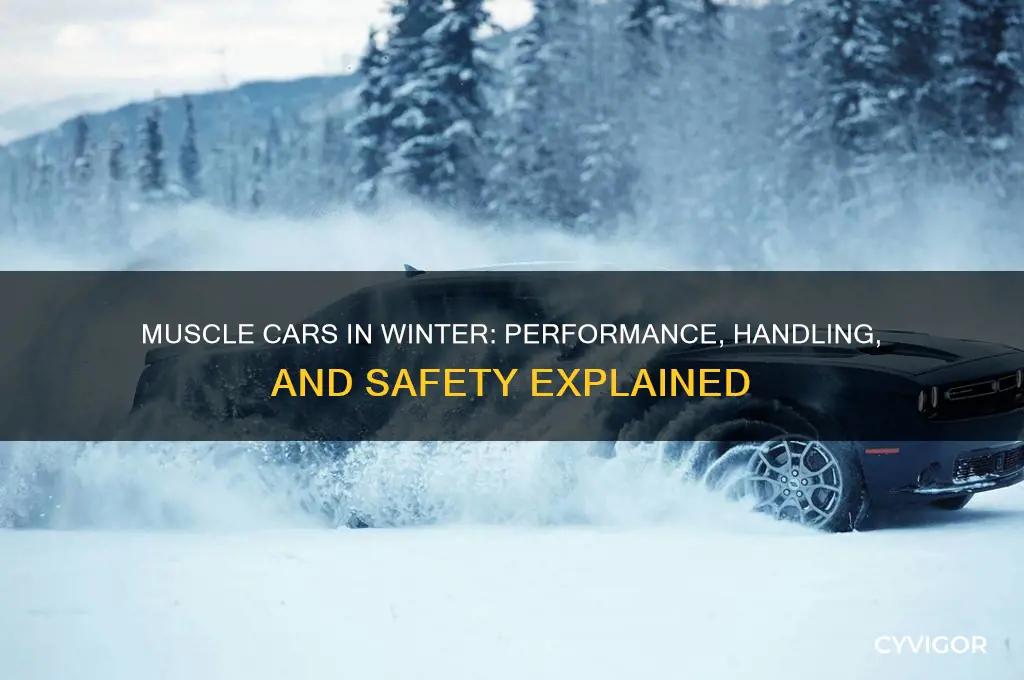 Muscle Cars In Winter: Performance, Handling, And Safety Explained ...
