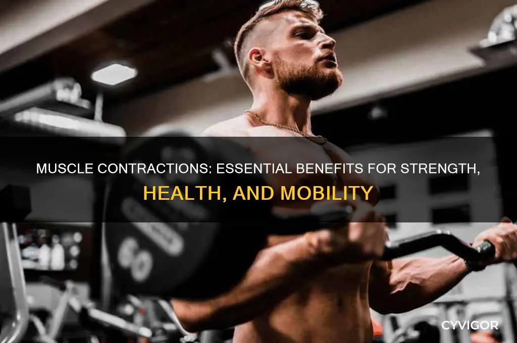 Muscle Contractions: Essential Benefits For Strength, Health, And ...