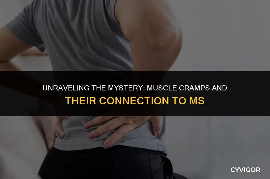Unraveling The Mystery: Muscle Cramps And Their Connection To Ms | CyVigor