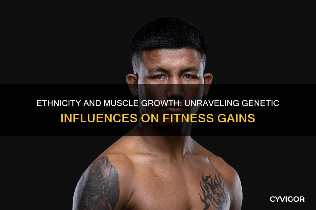 Ethnicity And Muscle Growth: Unraveling Genetic Influences On Fitness ...