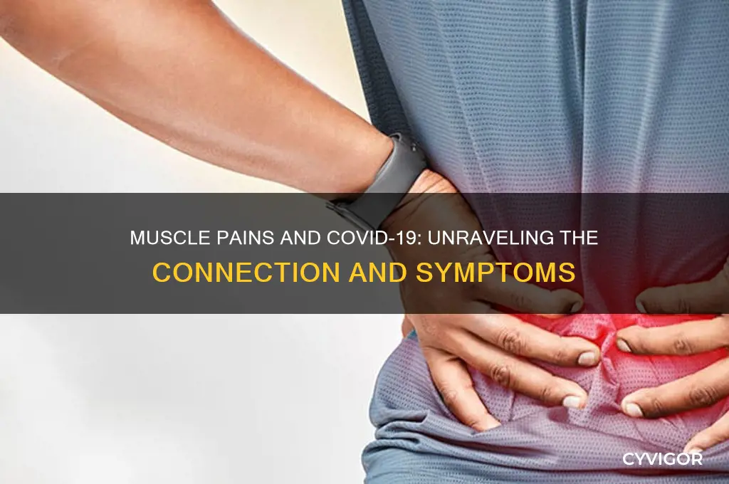 Muscle Pains And Covid-19: Unraveling The Connection And Symptoms | CyVigor