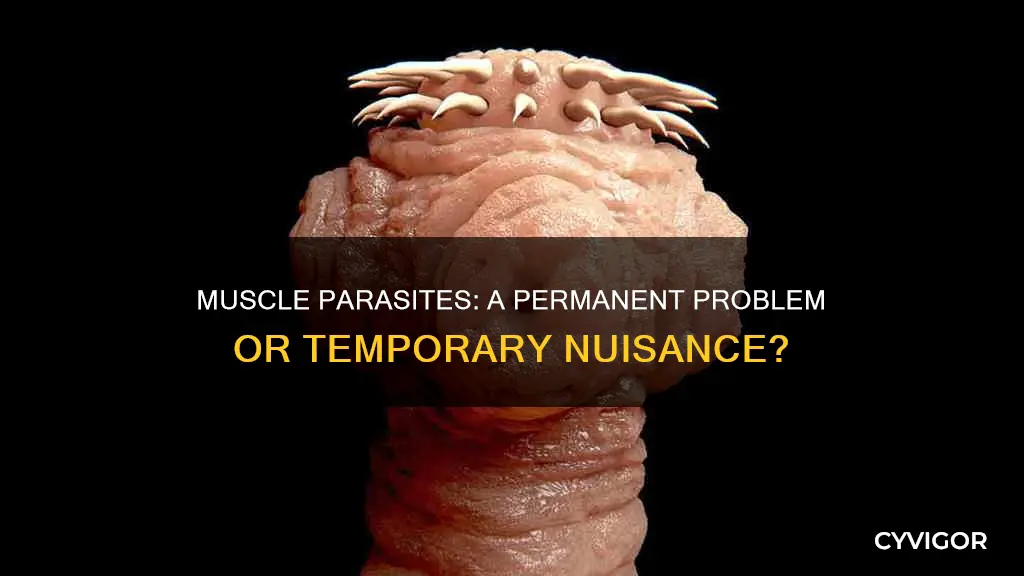 Muscle Parasites: A Permanent Problem Or Temporary Nuisance? | CyVigor