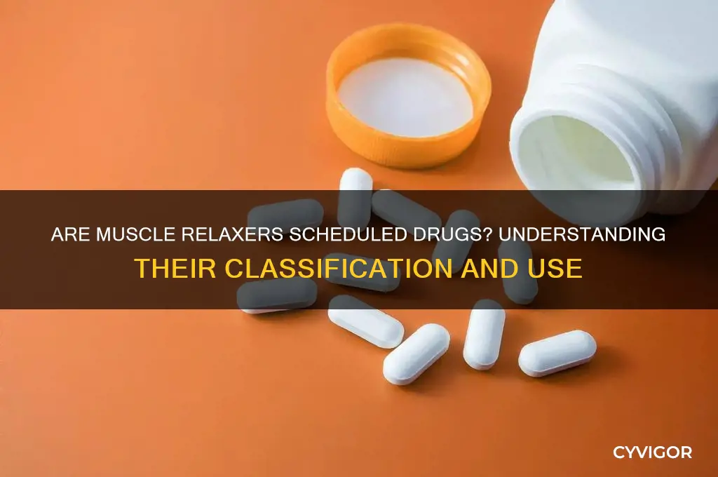 Are Muscle Relaxers Scheduled Drugs? Understanding Their Classification ...