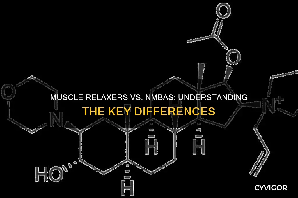 Muscle Relaxers Vs. Nmbas: Understanding The Key Differences | CyVigor
