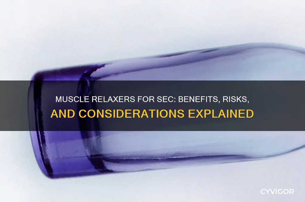 Muscle Relaxers For Sec: Benefits, Risks, And Considerations Explained ...