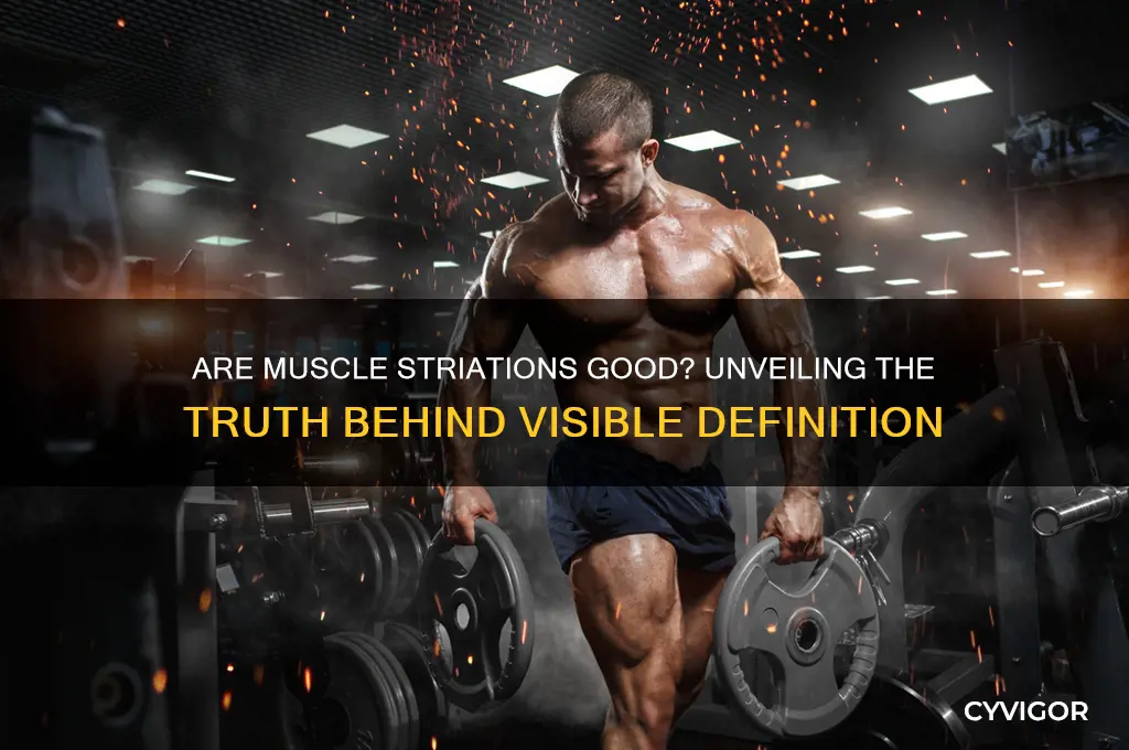 Are Muscle Striations Good? Unveiling The Truth Behind Visible ...