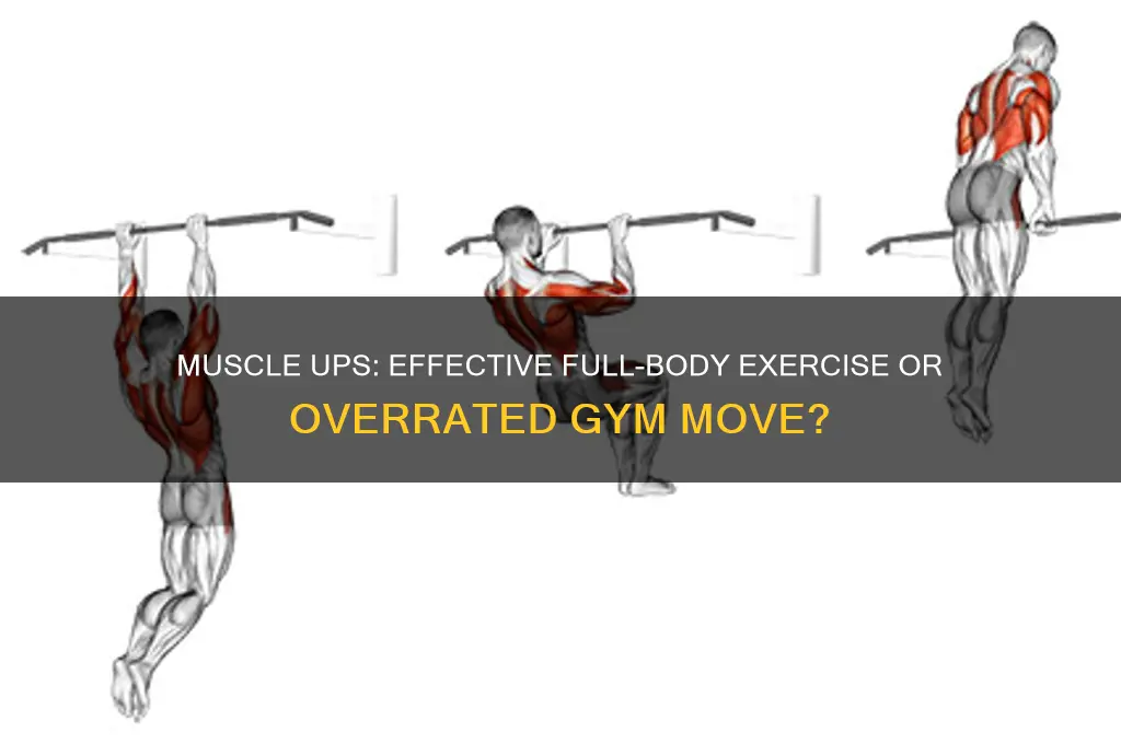 Muscle Ups: Effective Full-Body Exercise Or Overrated Gym Move? | CyVigor