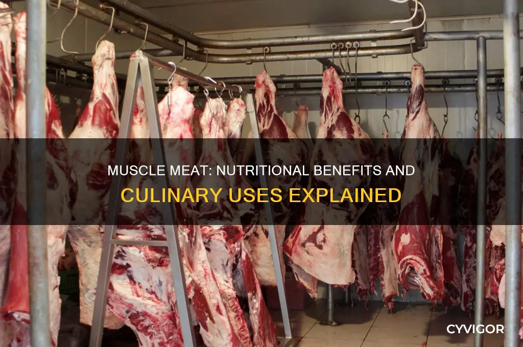 Muscle Meat: Nutritional Benefits And Culinary Uses Explained | CyVigor