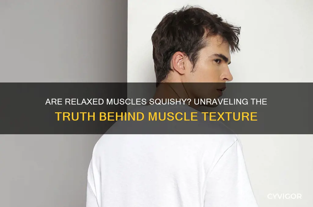 Are Relaxed Muscles Squishy? Unraveling The Truth Behind Muscle Texture ...