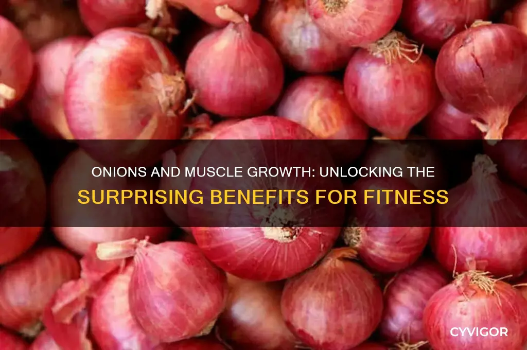 Onions And Muscle Growth: Unlocking The Surprising Benefits For Fitness ...