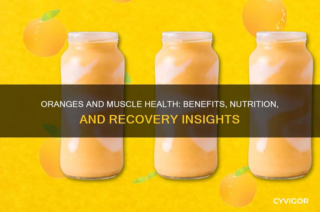 Oranges And Muscle Health: Benefits, Nutrition, And Recovery Insights ...
