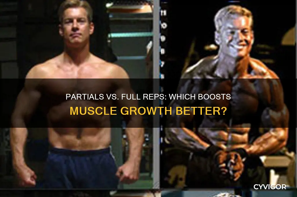 Partials Vs. Full Reps: Which Boosts Muscle Growth Better? | CyVigor