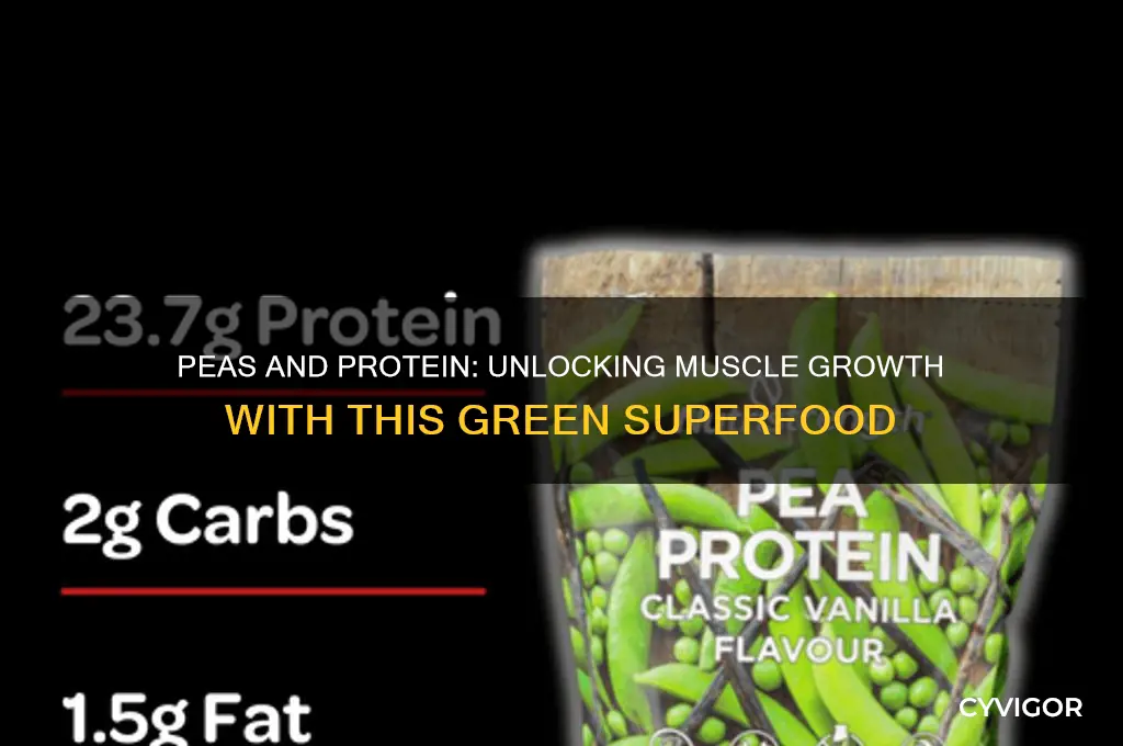 Peas And Protein: Unlocking Muscle Growth With This Green Superfood ...