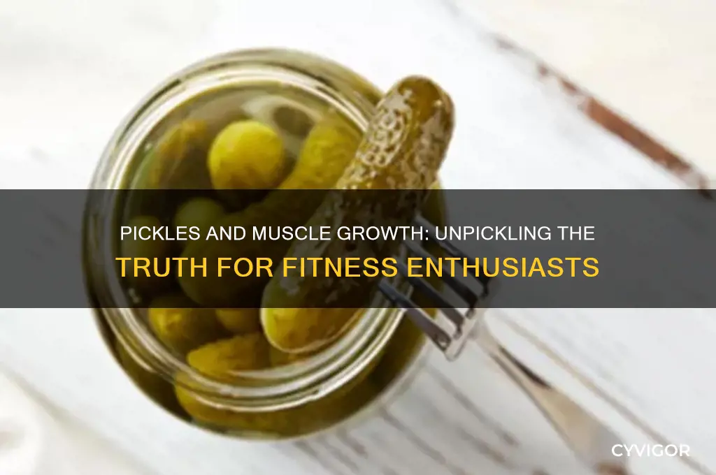 Pickles And Muscle Growth: Unpickling The Truth For Fitness Enthusiasts ...