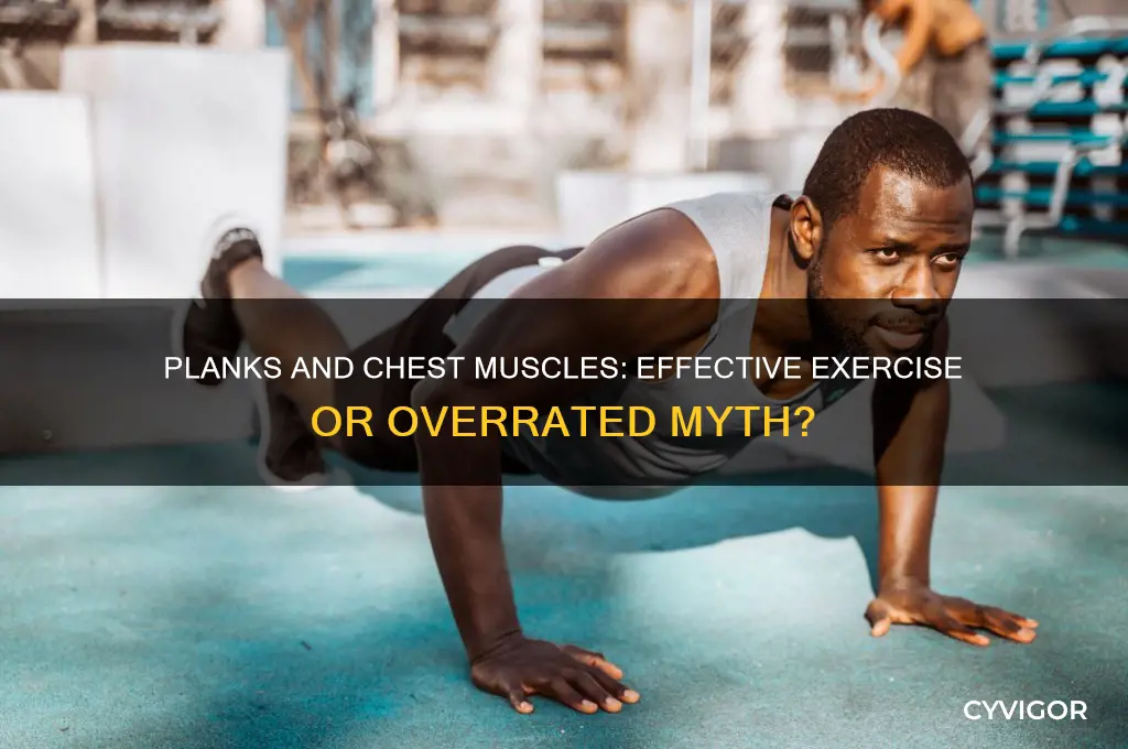 Planks And Chest Muscles: Effective Exercise Or Overrated Myth? | CyVigor
