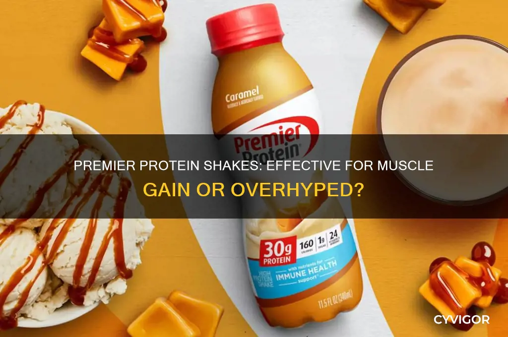 Premier Protein Shakes: Effective For Muscle Gain Or Overhyped? | CyVigor