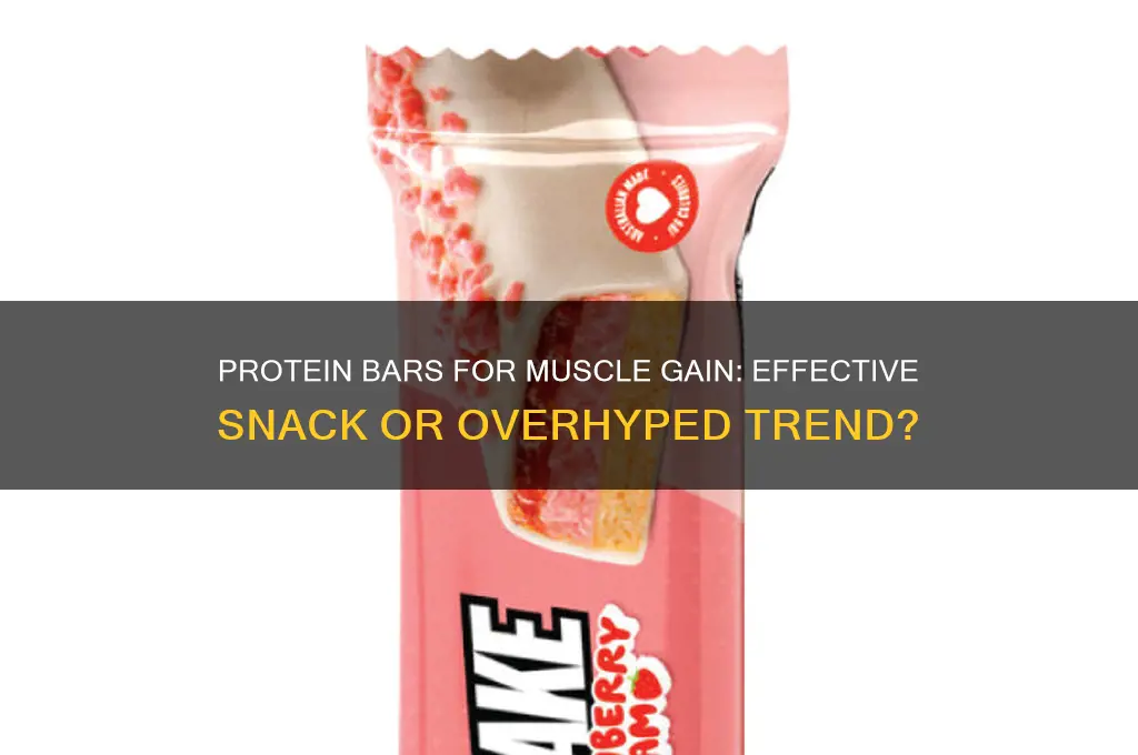 Protein Bars For Muscle Gain: Effective Snack Or Overhyped Trend? | CyVigor