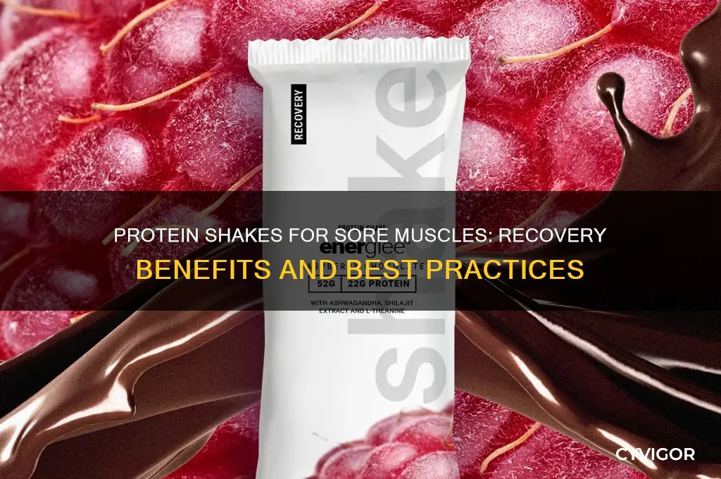 Protein Shakes For Sore Muscles: Recovery Benefits And Best Practices ...