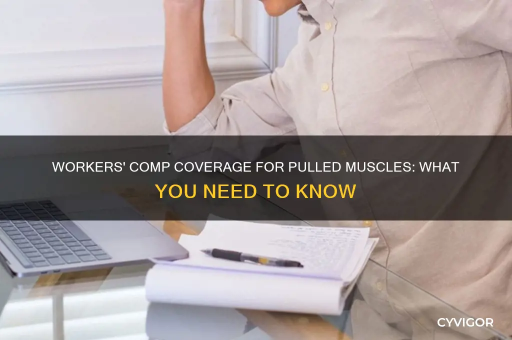 Workers' Comp Coverage For Pulled Muscles: What You Need To Know | CyVigor