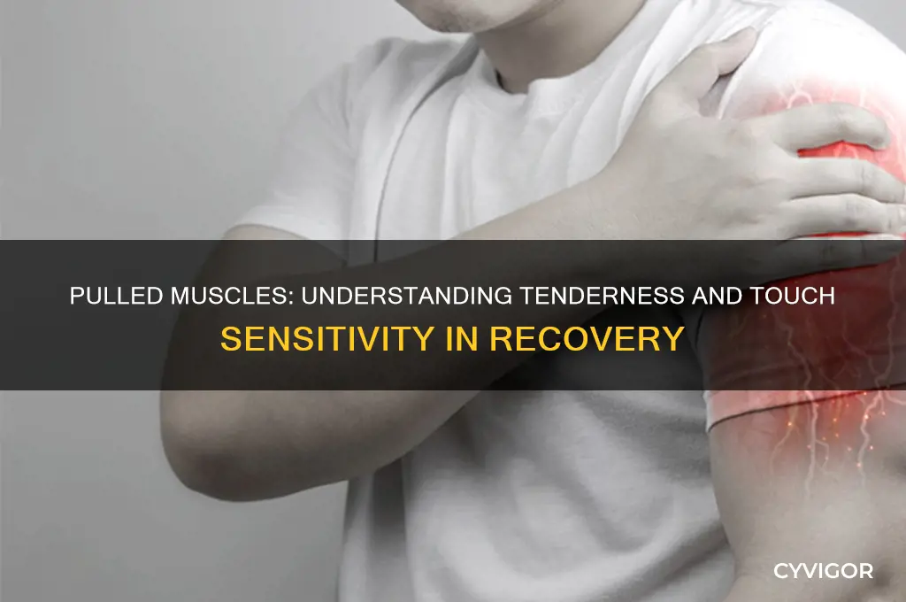 Pulled Muscles: Understanding Tenderness And Touch Sensitivity In ...