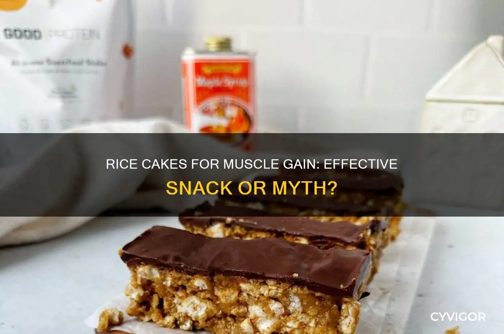 Rice Cakes For Muscle Gain: Effective Snack Or Myth? | CyVigor