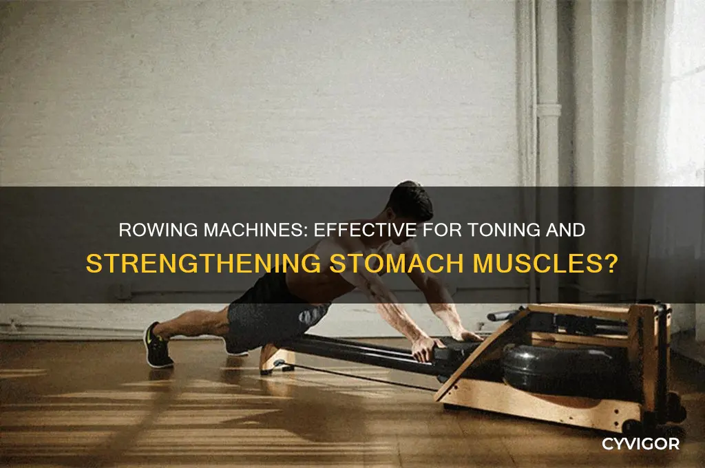 Rowing Machines: Effective For Toning And Strengthening Stomach Muscles ...