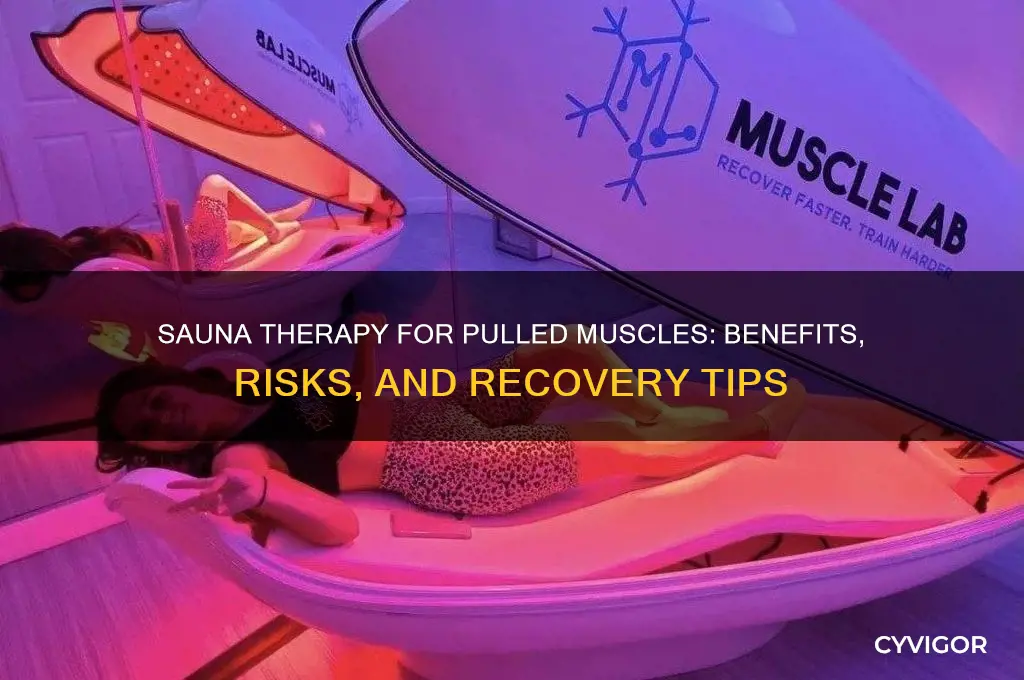 Sauna Therapy For Pulled Muscles: Benefits, Risks, And Recovery Tips ...