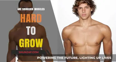 Muscle Growth Explained: The Science Behind Strength And Size | CyVigor